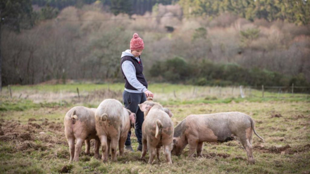 Especialidad en cerdo celta 100% - A Casa da Rua